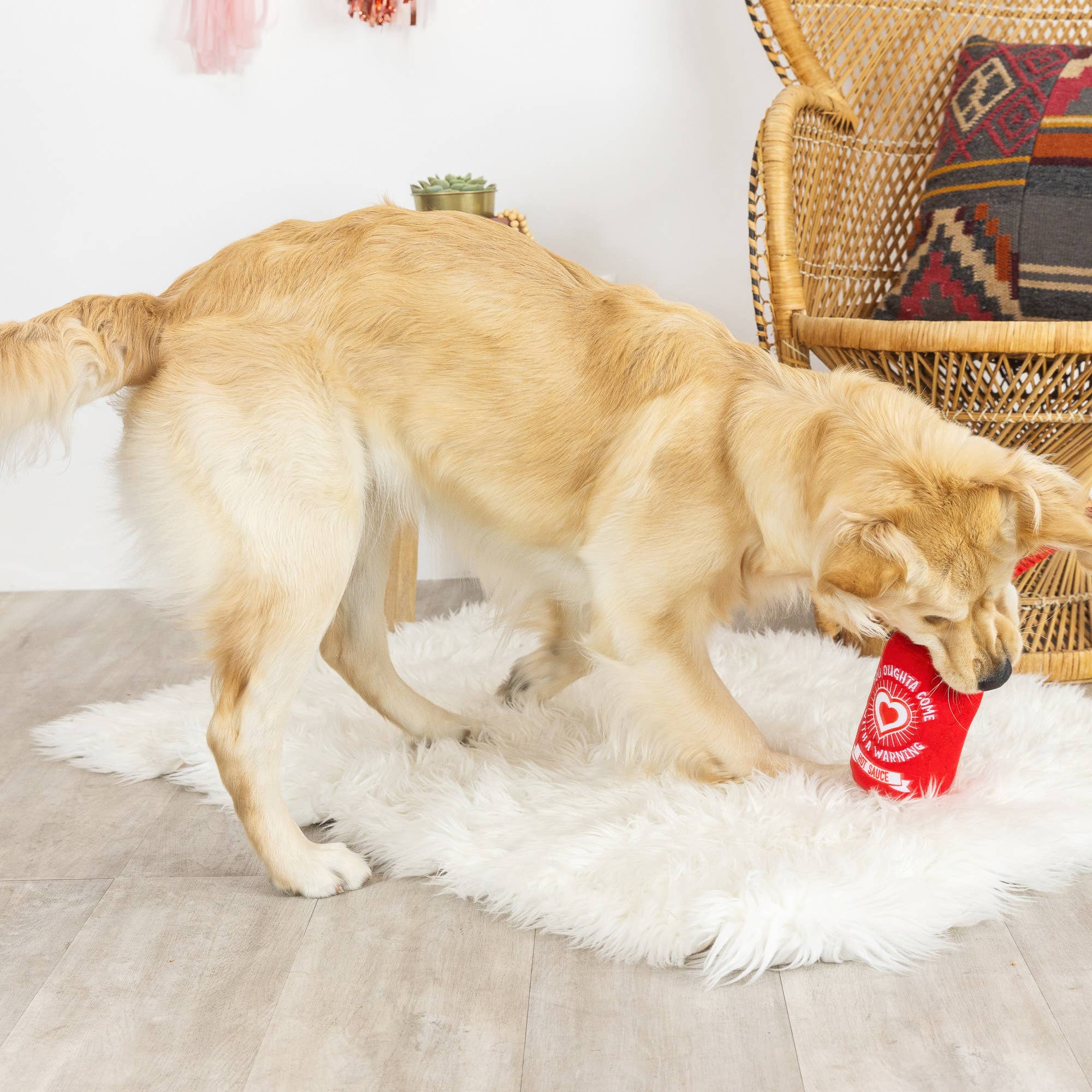 HEARTS ON FIRE – Found My Animal