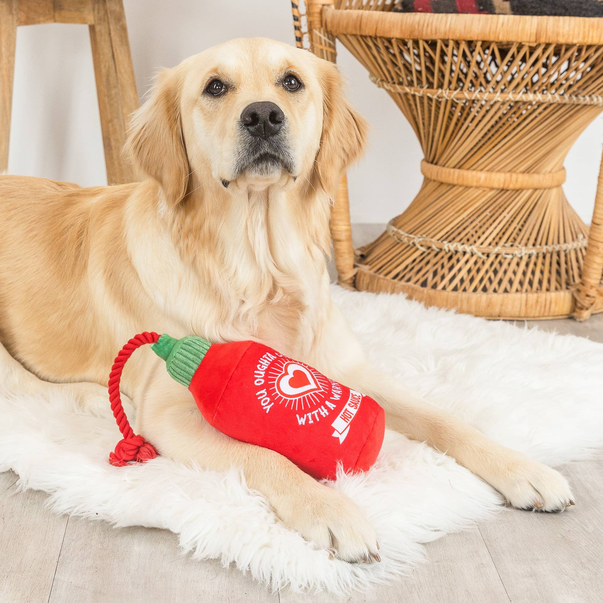 HEARTS ON FIRE – Found My Animal